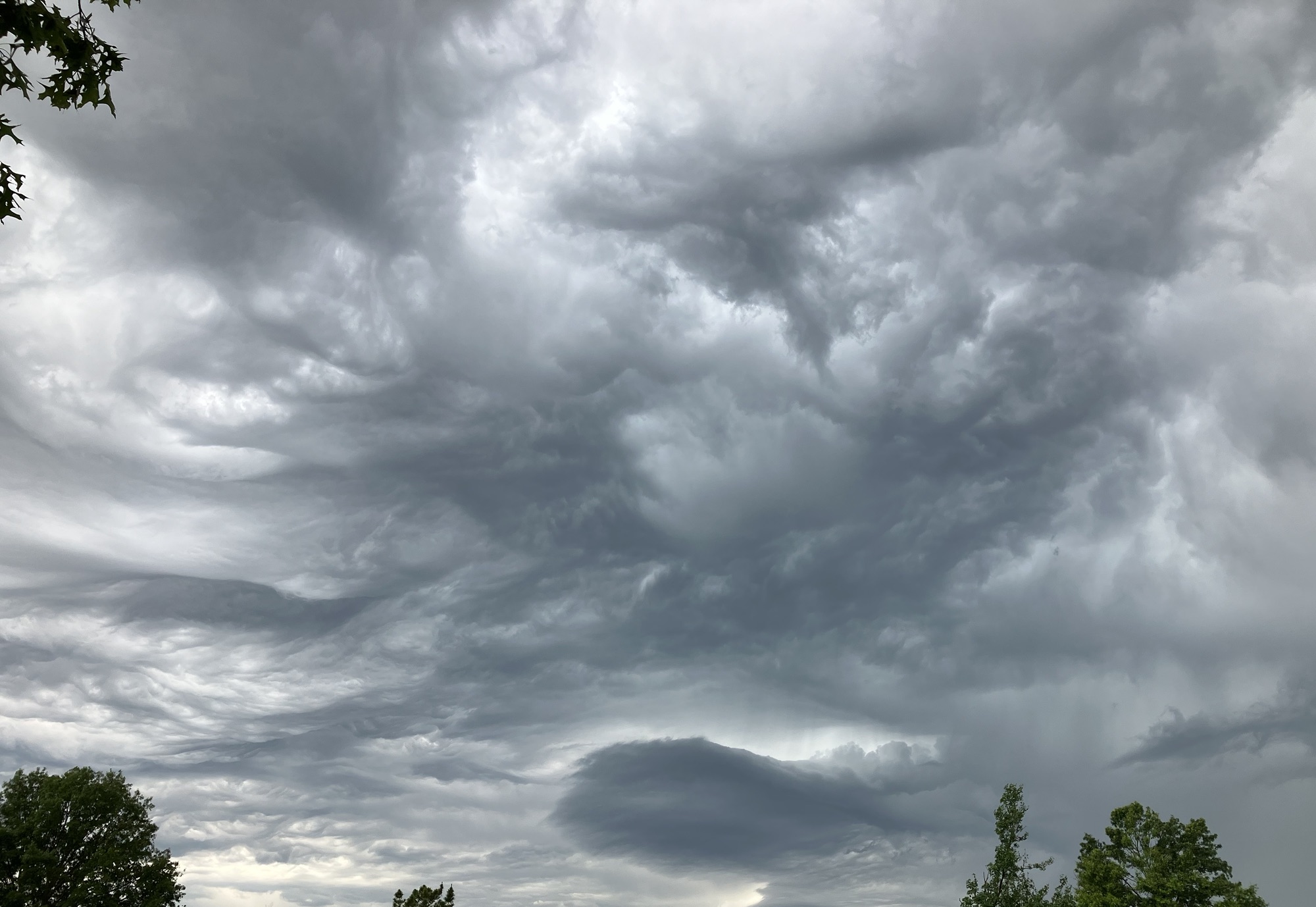 Standing Strong in the Storm – Pati Rader